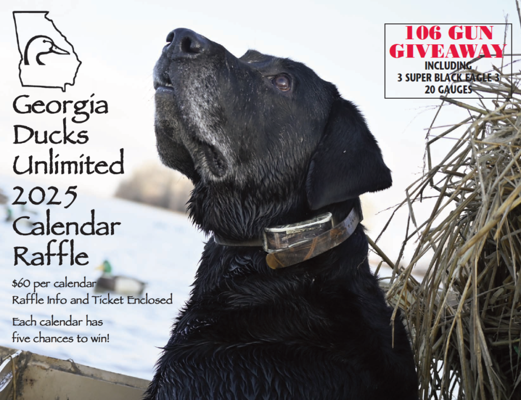 Georgia Ducks Unlimited